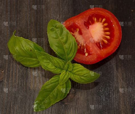 番茄和罗勒素材 花瓣网