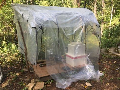 2017 9 15 다람쥐집 현황 네이버 블로그