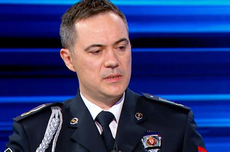 У току ревитализација ветрозаштитног појаса од Аеродрома до Купусине