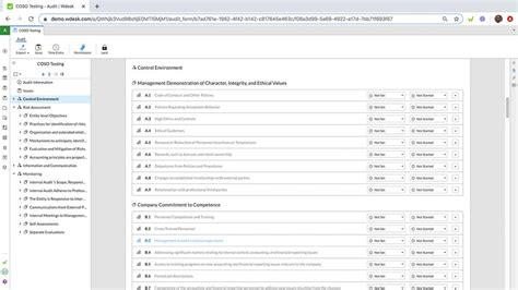 Coso Testing Workiva Marketplace