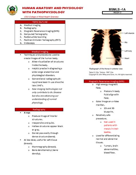 Unit 1 Notes With Pathophysiology Week 3 Bsmls 1a Csu College Of Allied Health Sciences