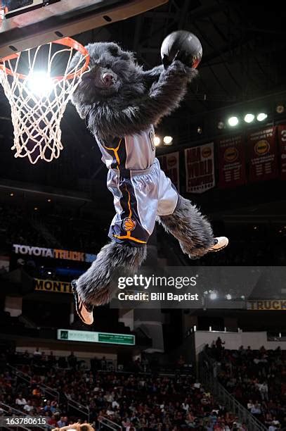 Grizz Mascot Photos And Premium High Res Pictures Getty Images