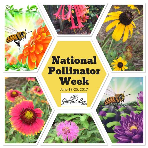 National Pollinator Week Celebration