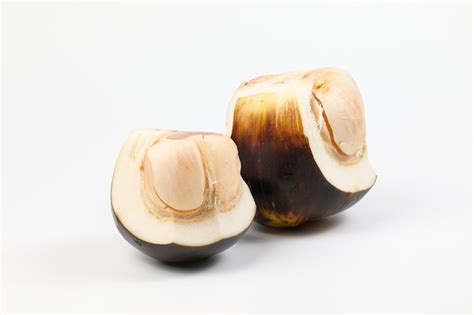 Premium Photo Young Fruit Borassus Flabellifer