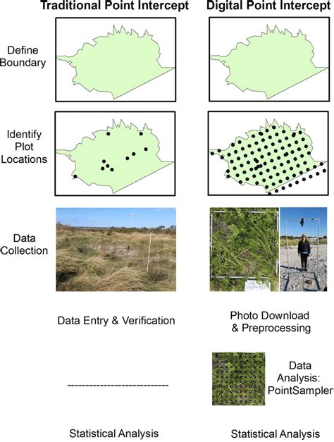Both Traditional And Digital Point Intercept Methods Begin With Download Scientific Diagram