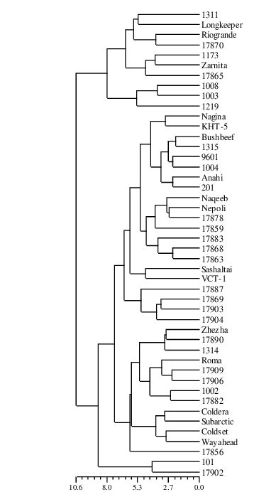 Dendrogram Showing The Relationship Among 46 Accessions Of Tomato