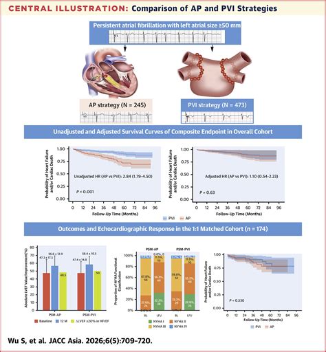 Persistent Atrial Fibrillation With Conduction System Pacing Or