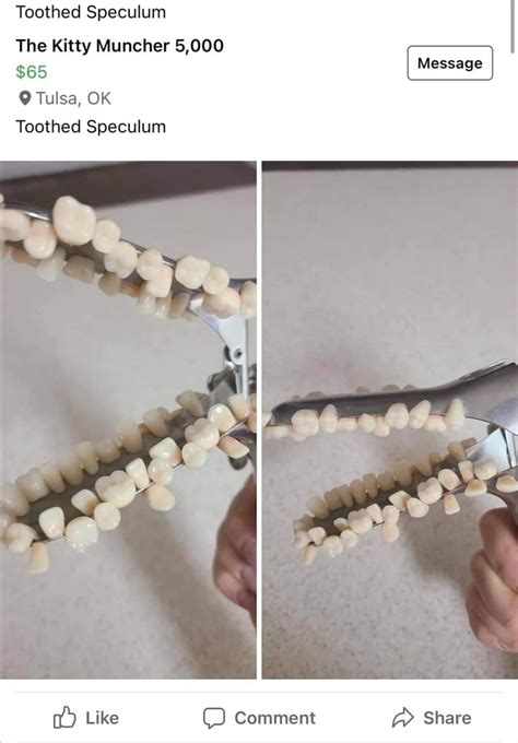 The Kitty Muncher Rcrackheadcraigslist