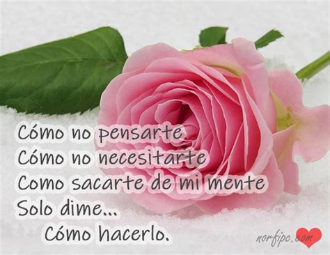 60 Mensajes De Amor Para Enamorar Y Cautivar Con Palabras