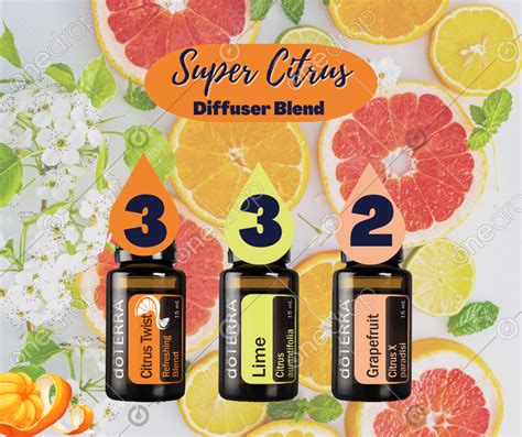 Super Citrus Diffuser Blend By Christy St Clair