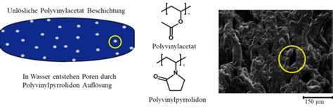 Polymere Für Zielgerichtete Arzneimitteltherapien