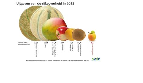 Nvde ‘wij Kunnen Meer Een Betrouwbare Overheid Geeft Ons Vleugels