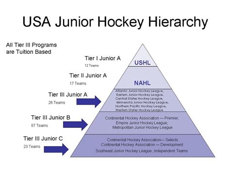 Levels Of Hockey Leagues In Usa At Lucinda Nicoll Blog