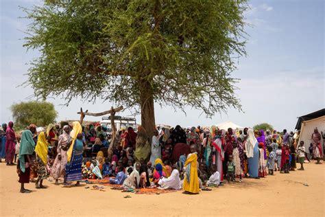 Sudan Human Rights Dozens Of Nations Seek Urgent Un Rights Council