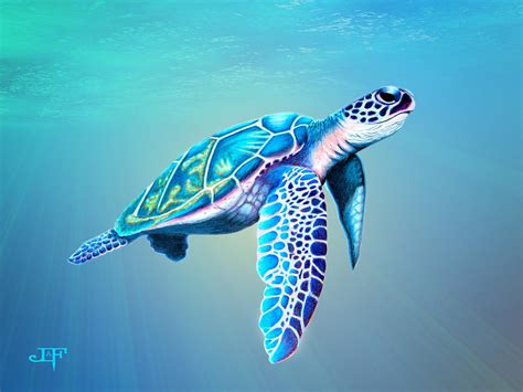 Sea Turtle Drawing Color