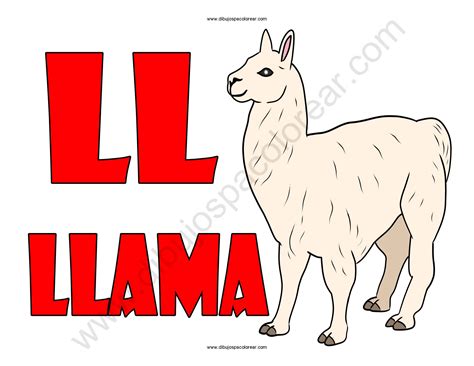 Llama Letra Ll Abecedario Dibujo A Color Y Para Colorear