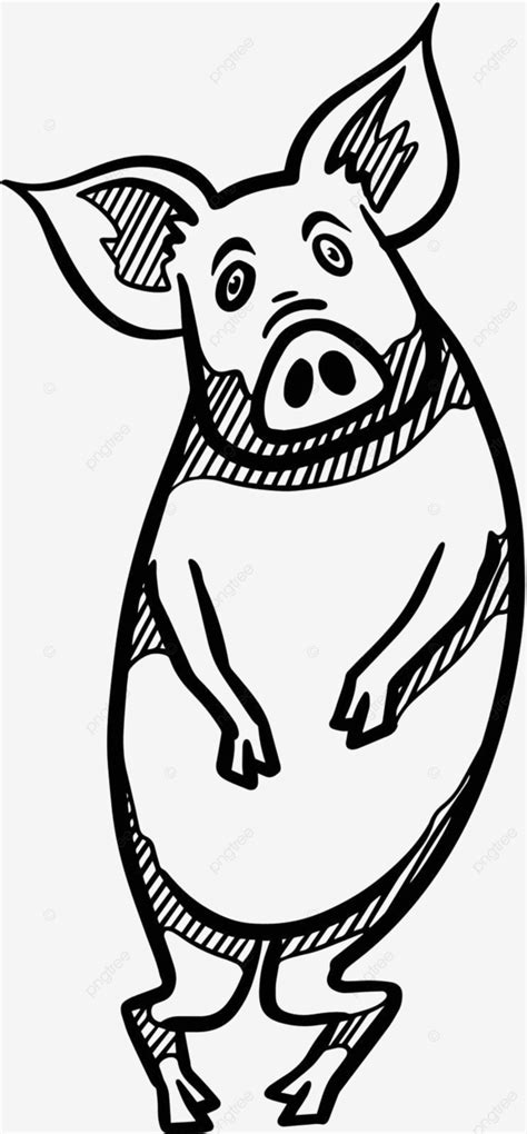รูปมือวาดหมูยืนวาดมือวาดมอง เวกเตอร์ Png วาดด้วยมือ การวาดภาพ มองภาพ Png และ เวกเตอร์ สำหรับ