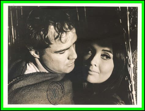 Anjanette Comer In The Appaloosa