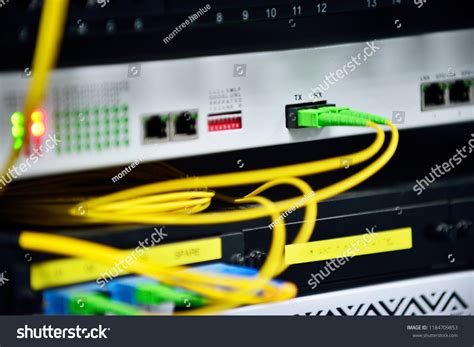 Network Switch Ethernet Cablesdata Center Concept Stock Photo Shutterstock