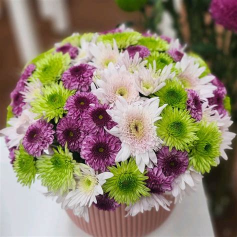 土鸡变凤凰离开《爸爸去哪儿》和湖南卫视村长李锐新身份太惊人节目直升机孩子