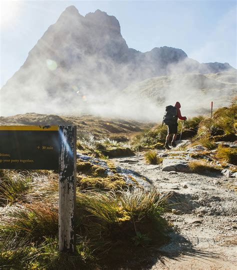 Milford Track And Milford Day Hikes Milford Sound Lodge