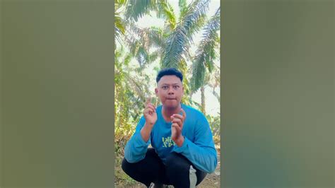 Adek Berak Mak Lucu Comedy Funny Bestfriend Masukberanda Tiktok