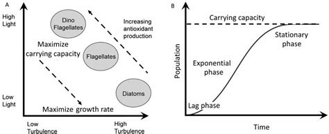 Physical Ecology Of Planktonic Microorganisms A Depiction Of The