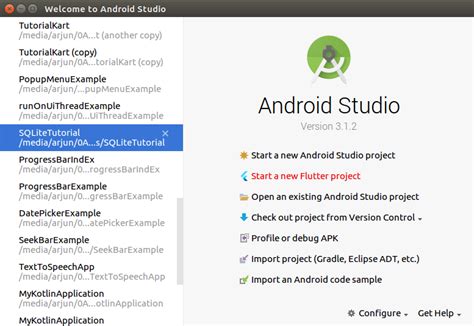 Flutter Basic Application Android Studio Example