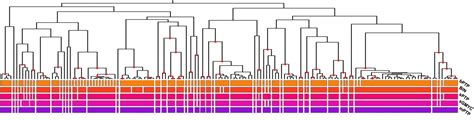 Dna Barcoding From Sequences To Species Marlin