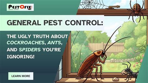 General Pest Control The Ugly Truth About Cockroaches Ants And Spiders