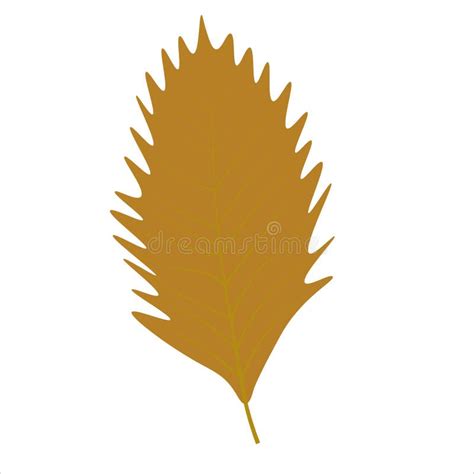 Yellow Leaf Oval Leaf Element Vector File Stock Vector Illustration