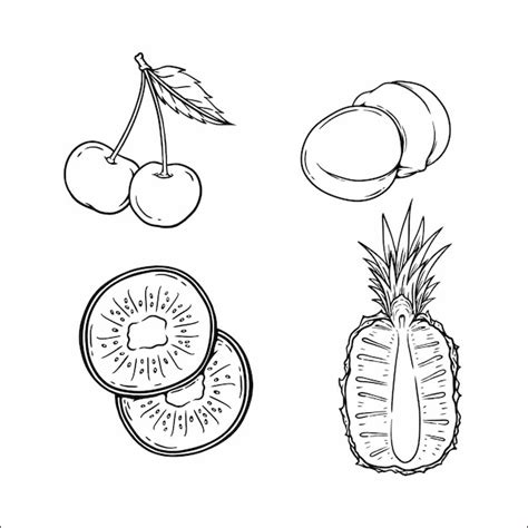 Premium Vector Fruit Drawing 172