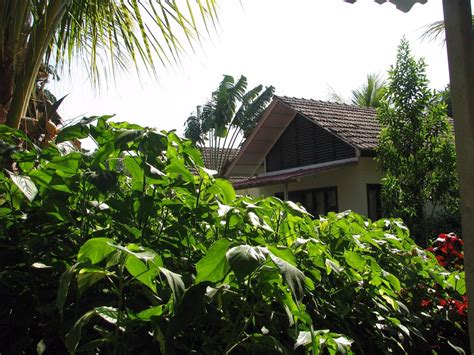 Gir Vanvaso Resort Gir National Park India Fotos En Reviews