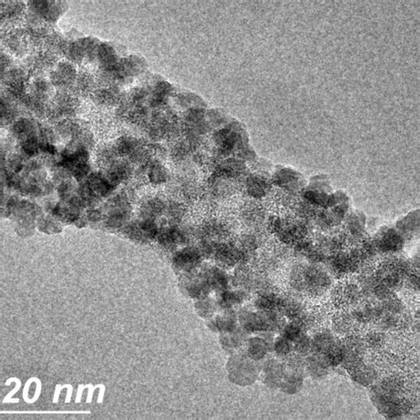 A Low Resolution Transmission Electron Microscopy Tem Micrograph Of Download Scientific
