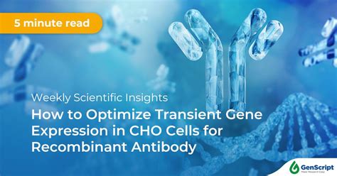 Genscript On Linkedin How To Optimize Transient Gene Expression In Cho