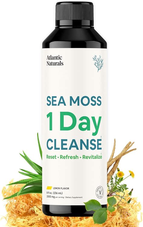 Atlantic Naturals Sea Moss 1 Day Cleanse Full Body Detox