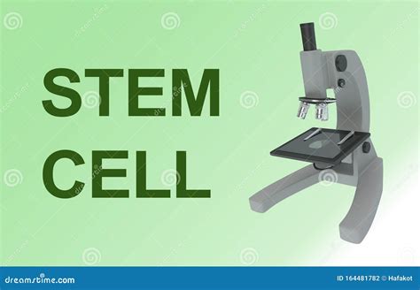 Stem Cell Concept Stock Illustration Illustration Of Cells 164481782