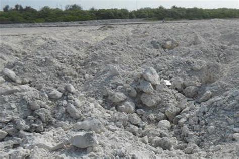 What Is Calcareous Soil