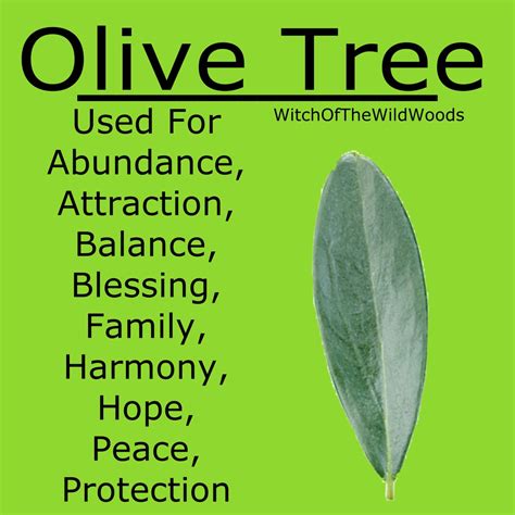 Why Is The Olive Branch A Symbol Of Peace Artofit