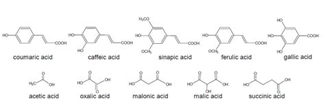 4 The Most Common Acyl Group Of Anthocyanin Download Scientific Diagram