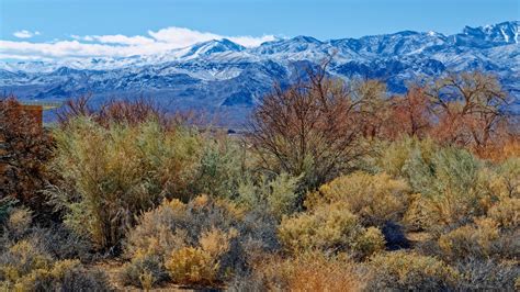 Nevadas Unexpected Lush Oasis In The Desert National Wildlife Refuge
