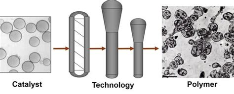 Polymerization In The Borstar Polypropylene Hybrid Process Combining