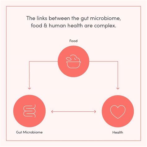 Zoe Test Kit Review Must Read This Before Buying