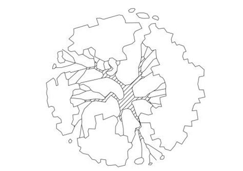 Tree Top View Free Cads Tree Top View Drawing Easy Tree Brush