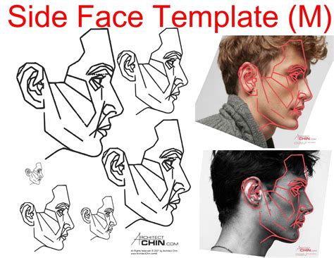 Male Face Template Male Face Ratio Male Face Grid Side Face Template