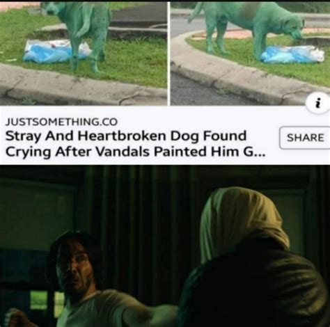 The Best Bbb Memes Memedroid