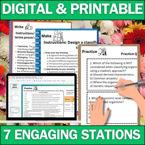 Angiosperms And Gymnosperms Student Lab Stations Activity Biology By