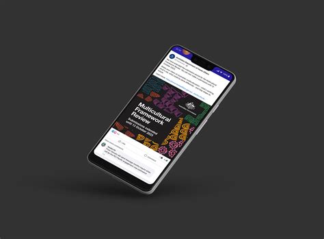 Multicultural Framework Review Vpda