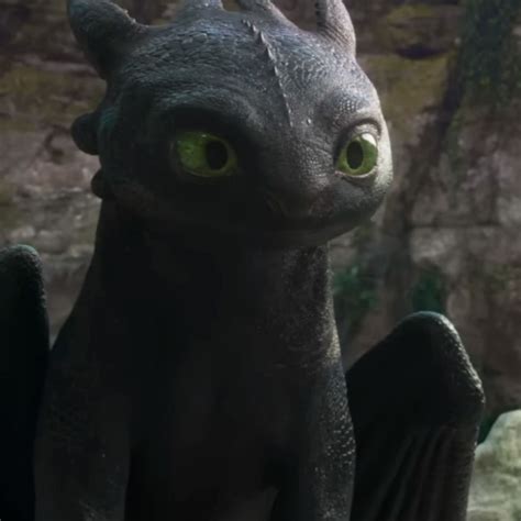 How To Train Your Dragon Toothless