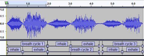 Breath Cycle Annotation Scheme Download Scientific Diagram